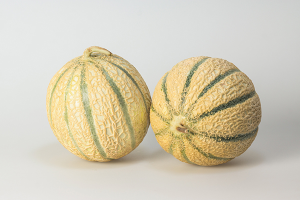 Charentais Melon - JustFruits